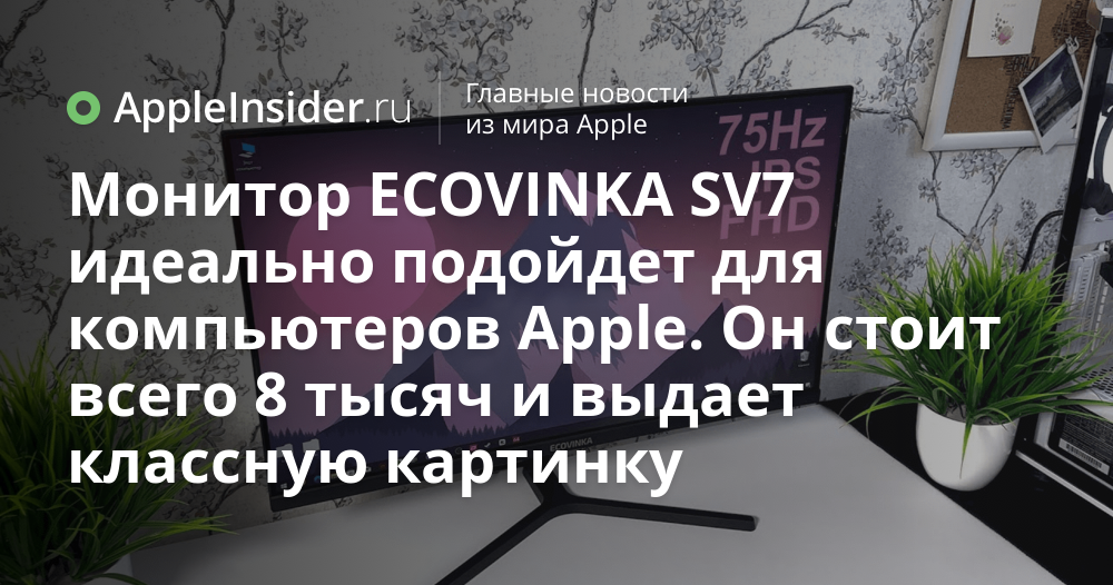 Монитор ECOVINKA SV7 идеально подойдет для компьютеров Apple. Он стоит всего 8 тысяч и выдает ...